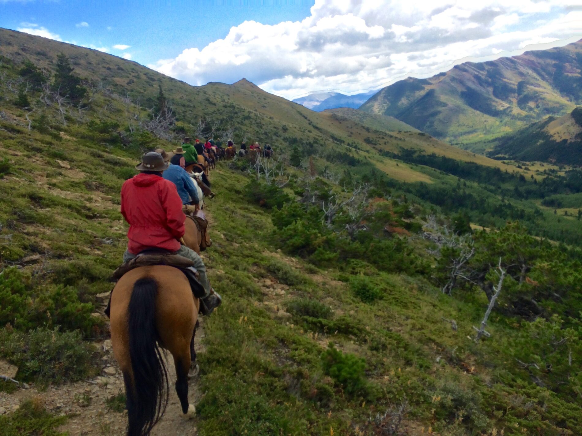 Guided Trail Horseback Riding in the Alberta Rockies | Alpine Stables