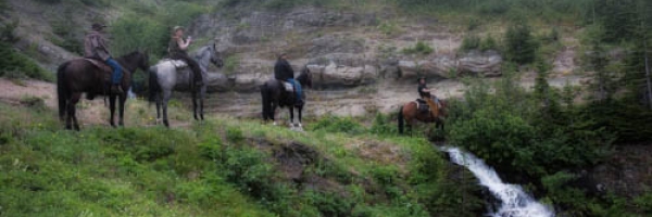 Guided Trail Horseback Riding in the Alberta Rockies | Alpine Stables